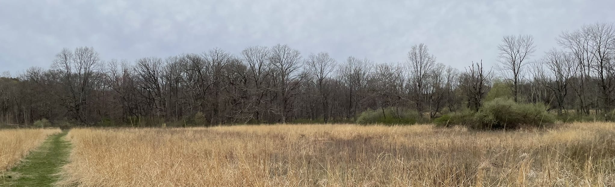 Tempe Wick Loop Trail, New Jersey - 7 Reviews, Map | AllTrails