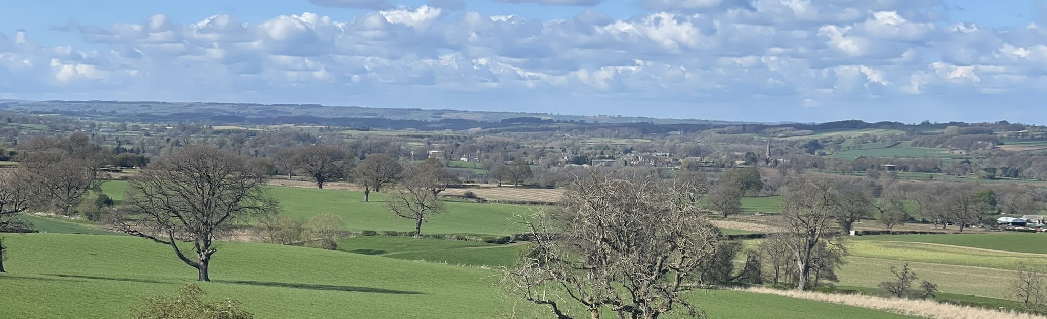 Hackfall Explorer, North Yorkshire, England - 321 Reviews, Map | AllTrails