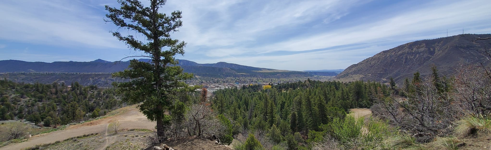 Overend Mountain Trails, Colorado - 172 Reviews, Map | AllTrails