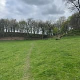 Calke Abbey Circular, Derbyshire, England - 272 Reviews, Map | AllTrails