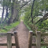 Calke Abbey Circular, Derbyshire, England - 272 Reviews, Map | AllTrails