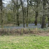 Calke Abbey Circular, Derbyshire, England - 272 Reviews, Map | AllTrails