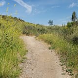 Lower Otay Reservoir: West Side, California - 672 Reviews, Map | AllTrails