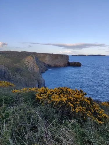 10 Best Trails, Walks, and Paths in Tenby | AllTrails