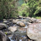 Crystal Cascades to Copperlode Dam, Queensland, Australia - 205 Reviews ...