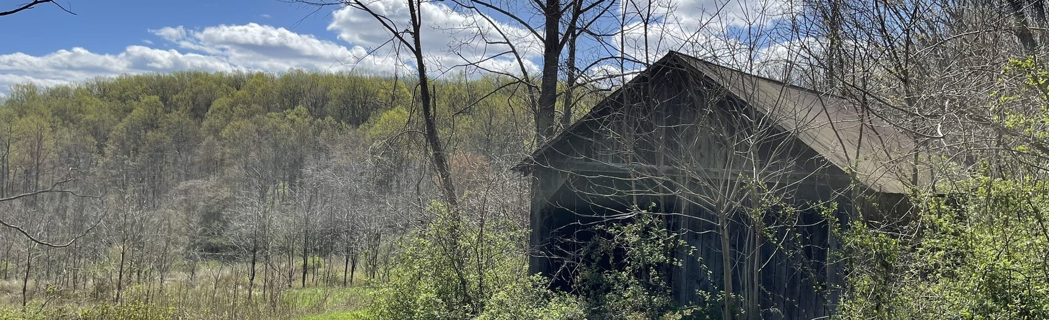 Copper Run, Middle Ridge, Culp Ridge and Mount Hope Trail: 57 Reviews ...