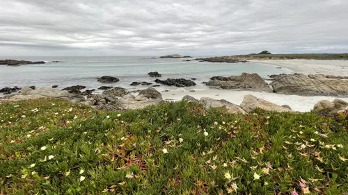 10 Best Trails and Hikes in Monterey | AllTrails
