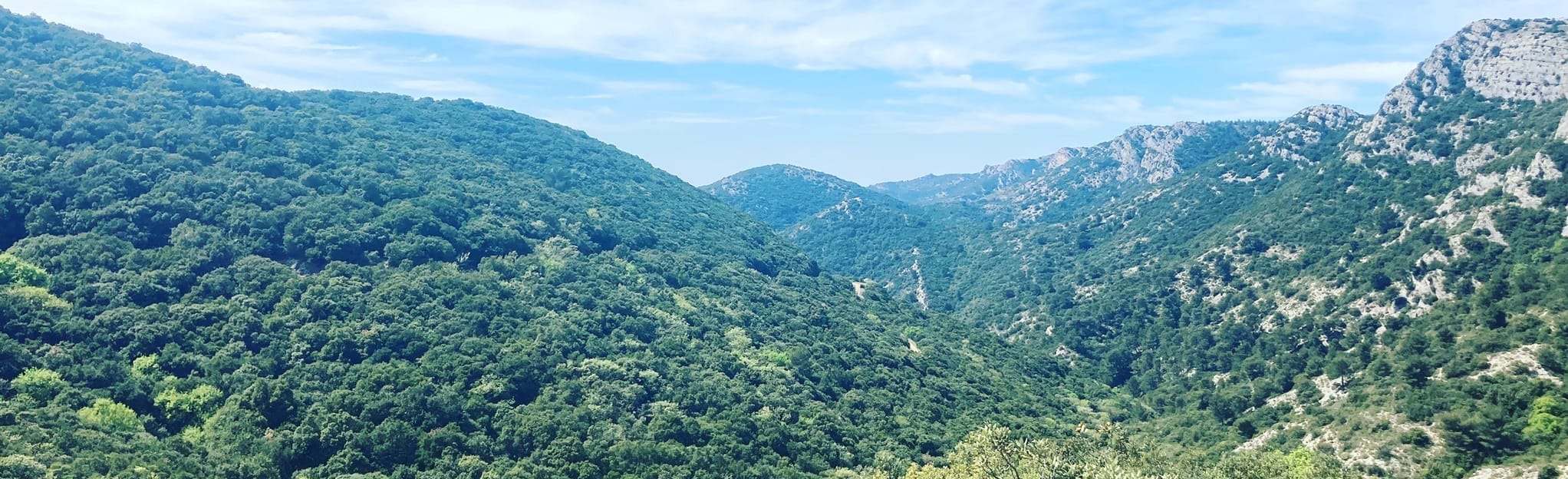 Vallon de Lare von Les Borrys - Vaucluse, France | AllTrails