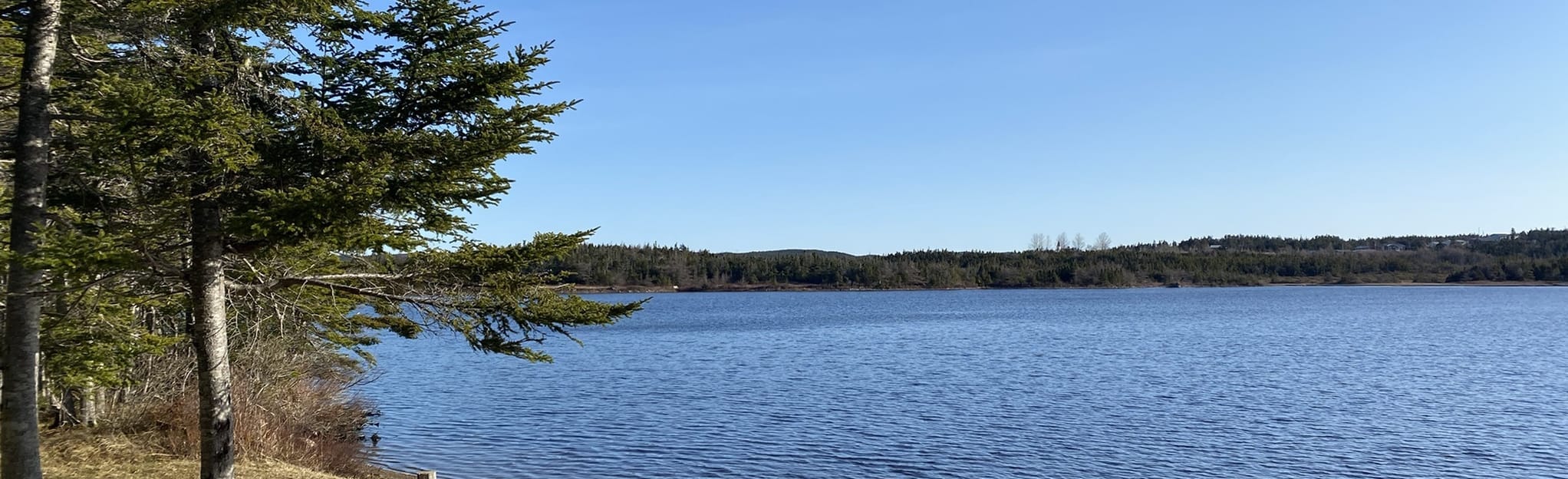 Landing Place Pond Loop: 42 Reviews, Map - Newfoundland and Labrador ...