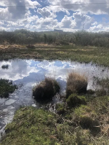 Best Hikes and Trails in Goss Moor National Nature Reserve | AllTrails