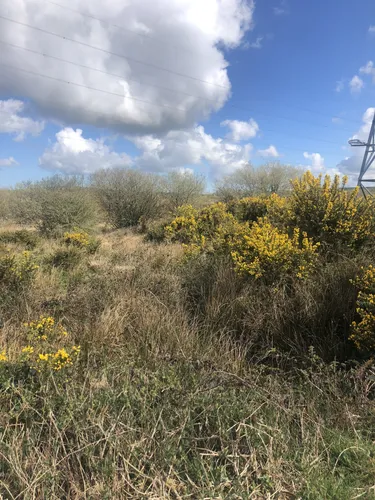 Best Hikes and Trails in Goss Moor National Nature Reserve | AllTrails