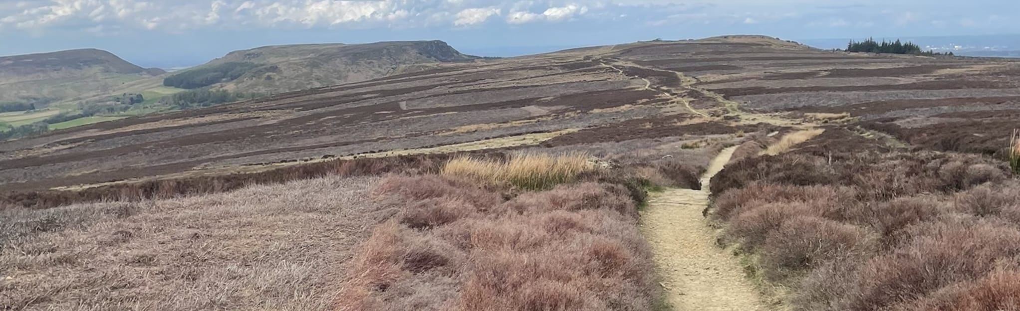 Lord Stones to Blakey Ridge via Farndale Railway, 930 Fotos - North ...
