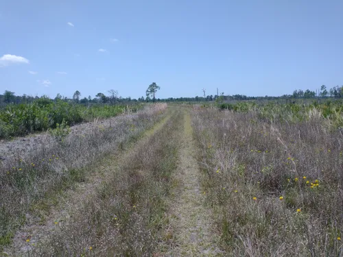 Best Hikes and Trails in Duette Preserve | AllTrails