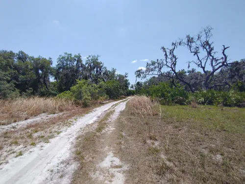 Best Hikes and Trails in Duette Preserve | AllTrails