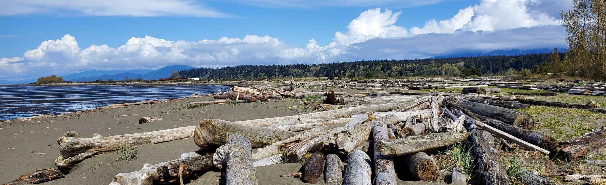 Iona Beach Trail: 201 foto's - Brits-Columbia, Canada | Wandelen ...