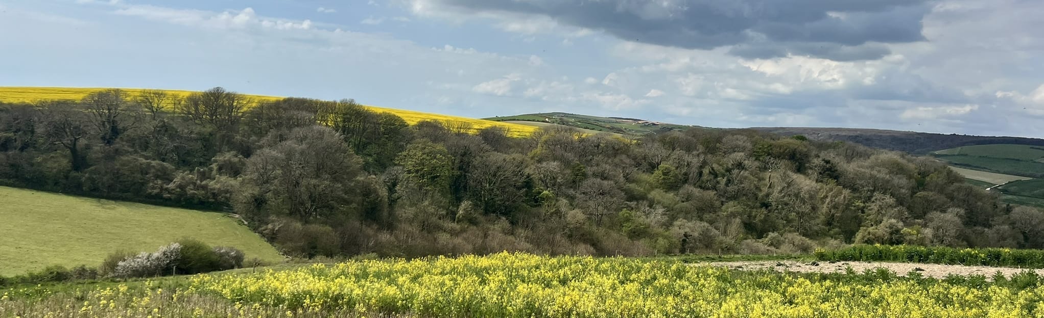 Chillerton Down, Isle of Wight, England - 15 Reviews, Map | AllTrails