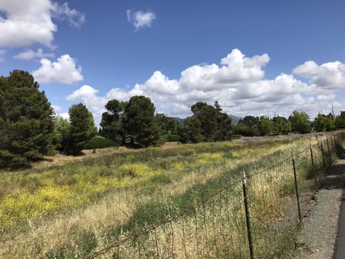 2023 Best Easy Trails in East Bay Regional Park District Trail Systems ...