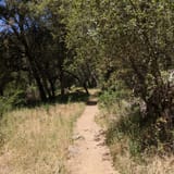 Dave Moore Nature Trail, California - 338 Reviews, Map | AllTrails