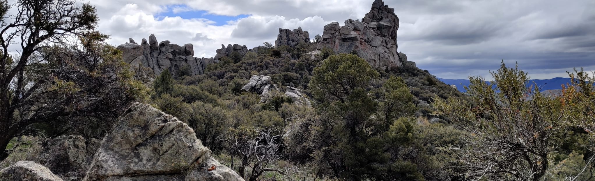 Indian Grove - Idaho | AllTrails