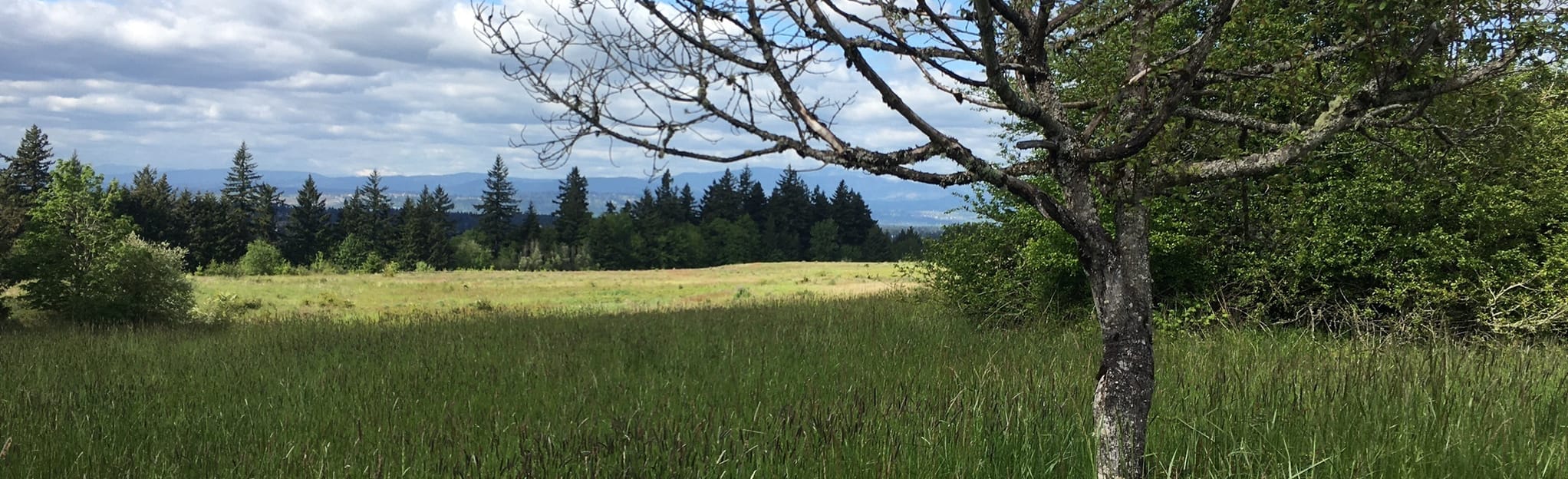 AllTrails | Forest Edge, Meadow Lane, Douglas Fir, Summit Lake ...