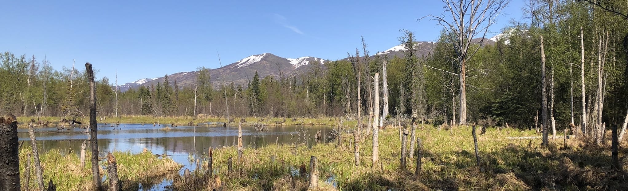 Basher Park Loop, Alaska - 127 Reviews, Map | AllTrails