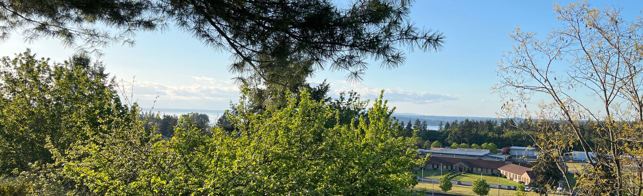 Waughop Lake MTB Course: 180 Reviews, Map - Washington | AllTrails