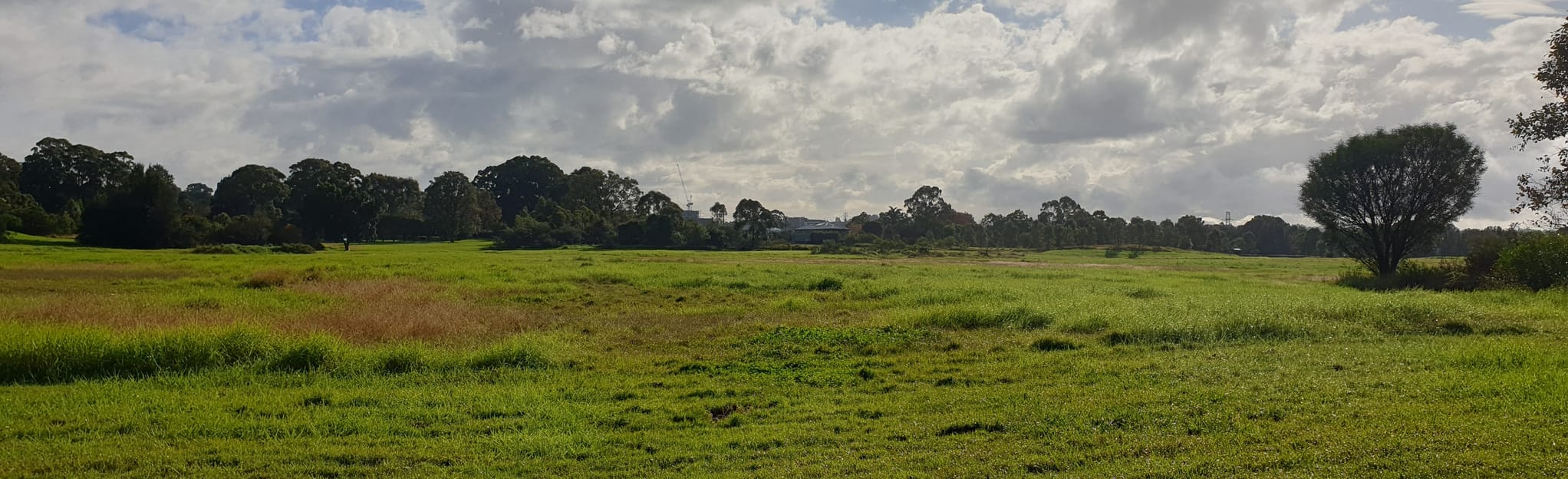 George Kendall Riverside Park Loop, New South Wales, Australia - 19 ...