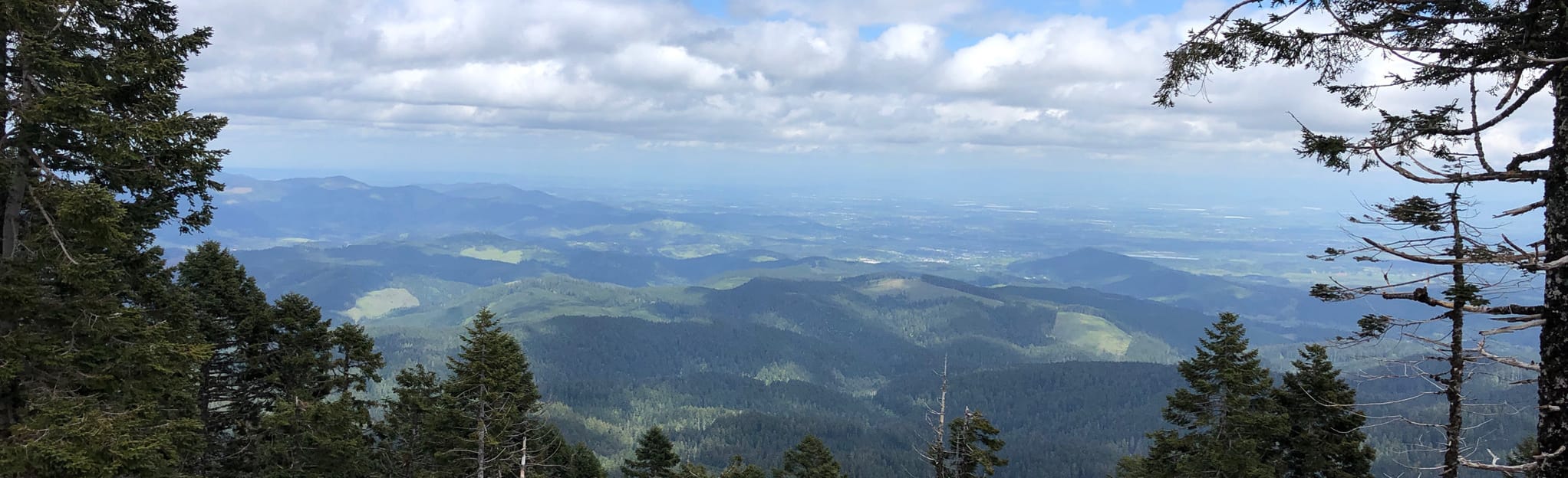 North Ridge Trail to Marys Peak: 318 Reviews, Map - Oregon | AllTrails