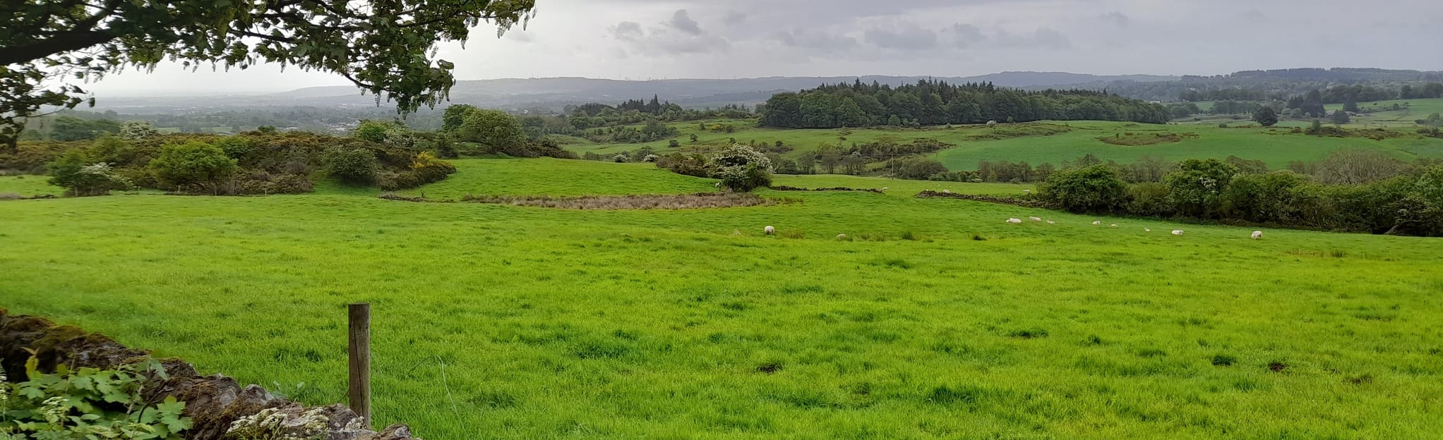 Bridge of Weir - Houston Circular, Renfrewshire, Scotland - 9 Reviews ...