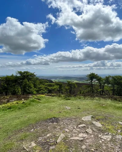 10 Best Trails, Walks, and Paths in Dundee City | AllTrails