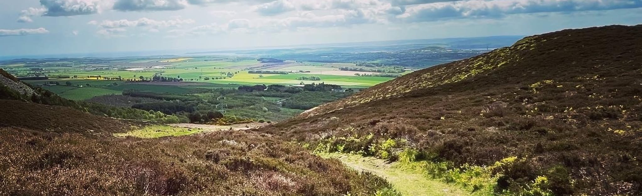 Balkello Hill and Auchterhouse Hill Circular: 110 foto's - Dundee ...