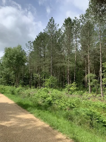 Best Mountain Biking Trails in Farnham | AllTrails