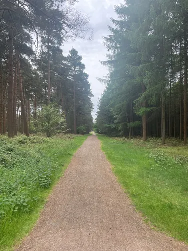 10 Best Hikes and Trails in Brandon Country Park | AllTrails