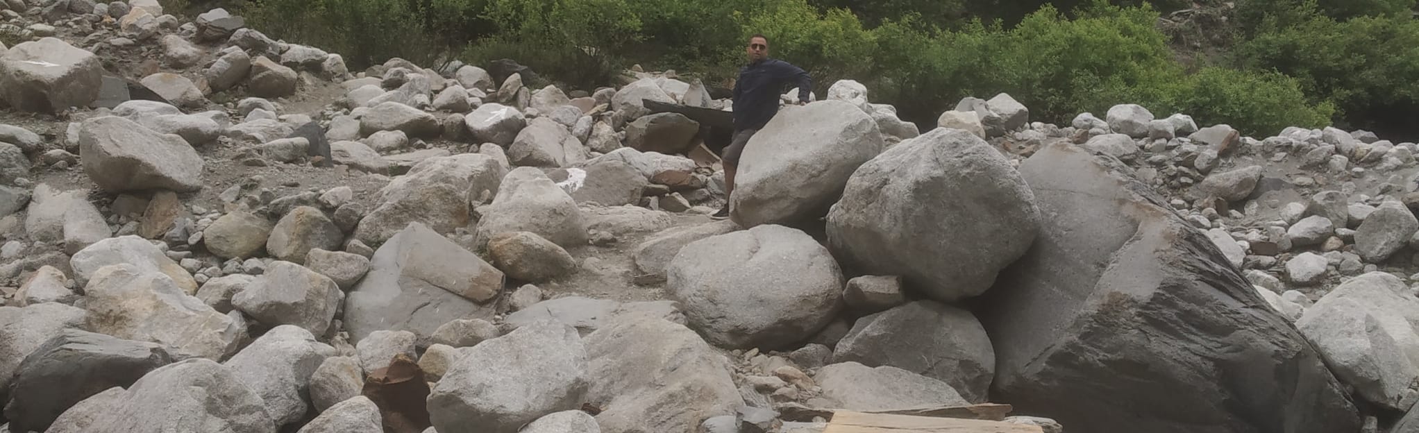 Dhundi - Shitidhar Trek: 1 Fotos - Himachal Pradesh, Indien | AllTrails