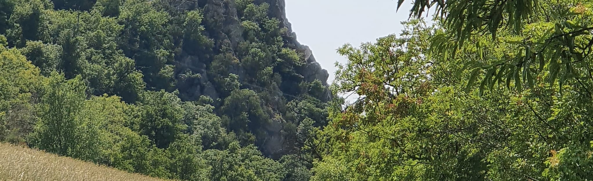 Crosara - Monte Lozzo - Monte Cinto, Veneto, Italy - Map, Guide | AllTrails