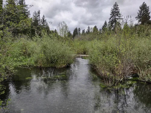 10 Best Trails and Hikes in Black Diamond | AllTrails