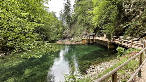 Best 10 Trails and Hikes in Bled | AllTrails