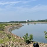 Newark Reservoir Trail, Delaware - 543 Reviews, Map | AllTrails