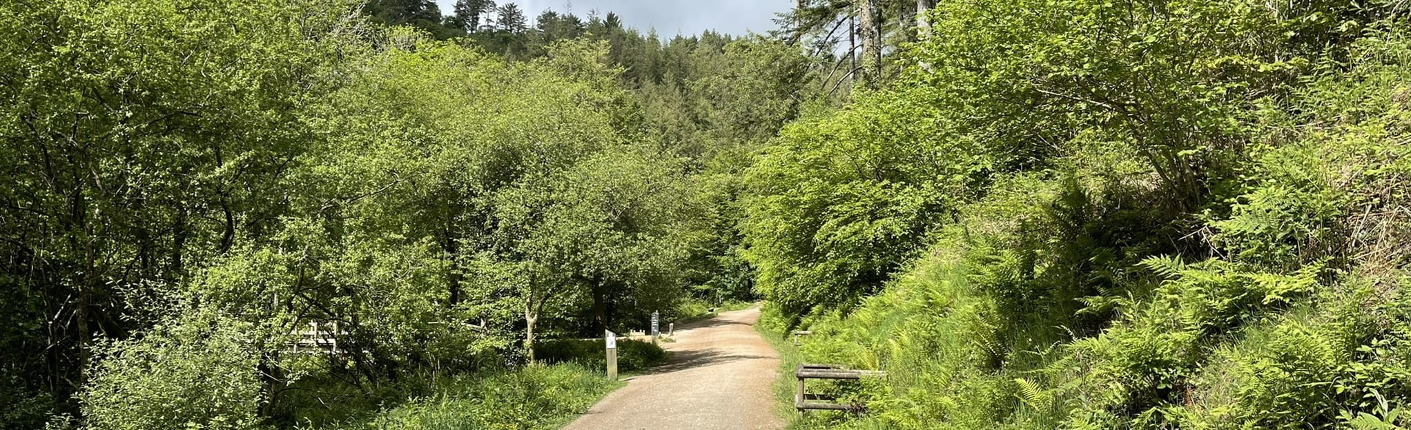 Cardinham Woods Hurtstocks Circular Walk: 65 foto - Cornwall ...