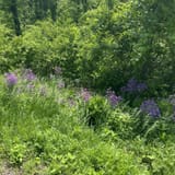 Lawrence Loop Trail, Kansas - 137 Reviews, Map | AllTrails