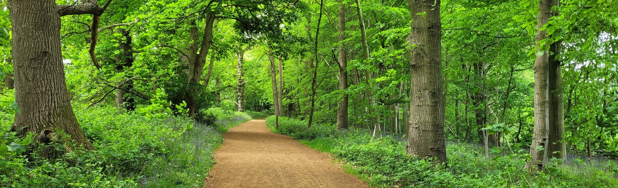 Blickling and Itteringham Circular, Norfolk, England - 23 Reviews, Map ...