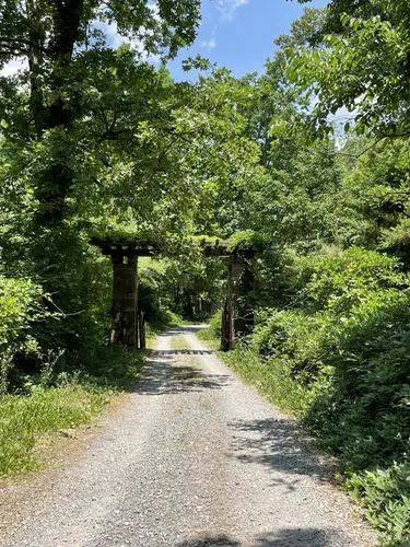 10 Best Trails and Hikes in Rome | AllTrails