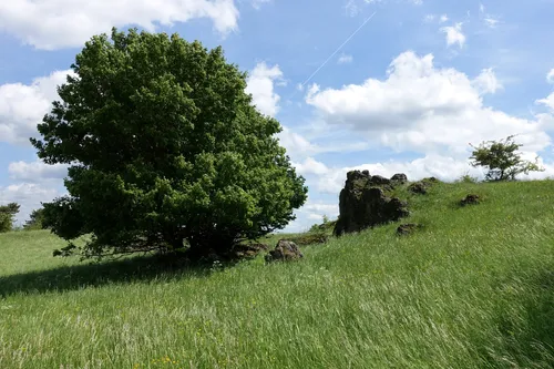 10 Best Trails and Hikes in Germany | AllTrails