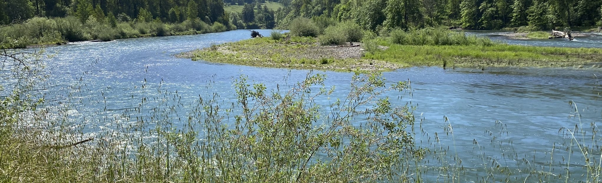 Middle Fork Willamette Path from Clearwater Park: 253 Reviews, Map ...