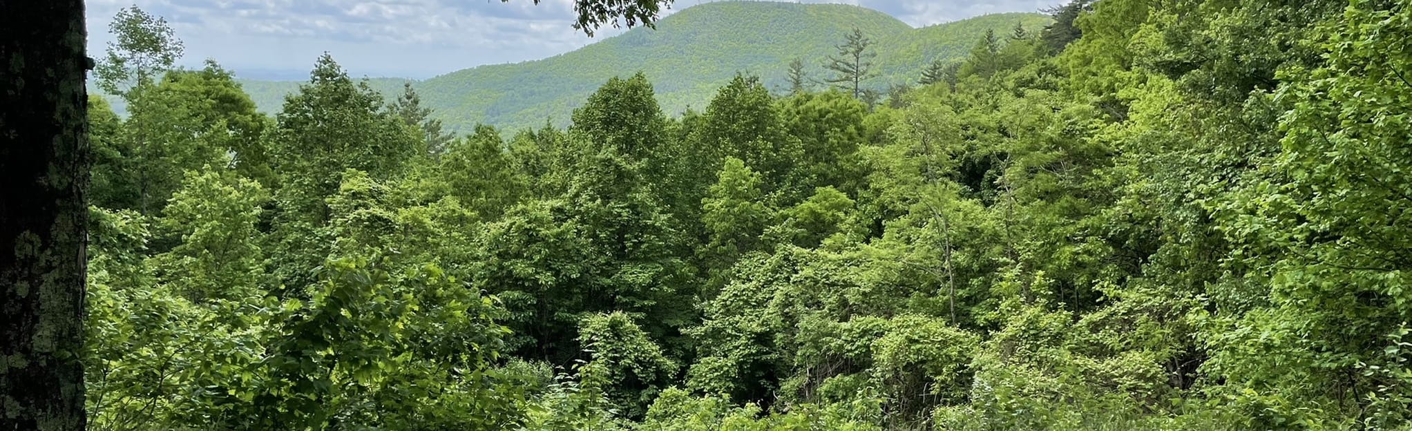 Scaly Mountain via Bartram Trail, North Carolina - 460 Reviews, Map ...