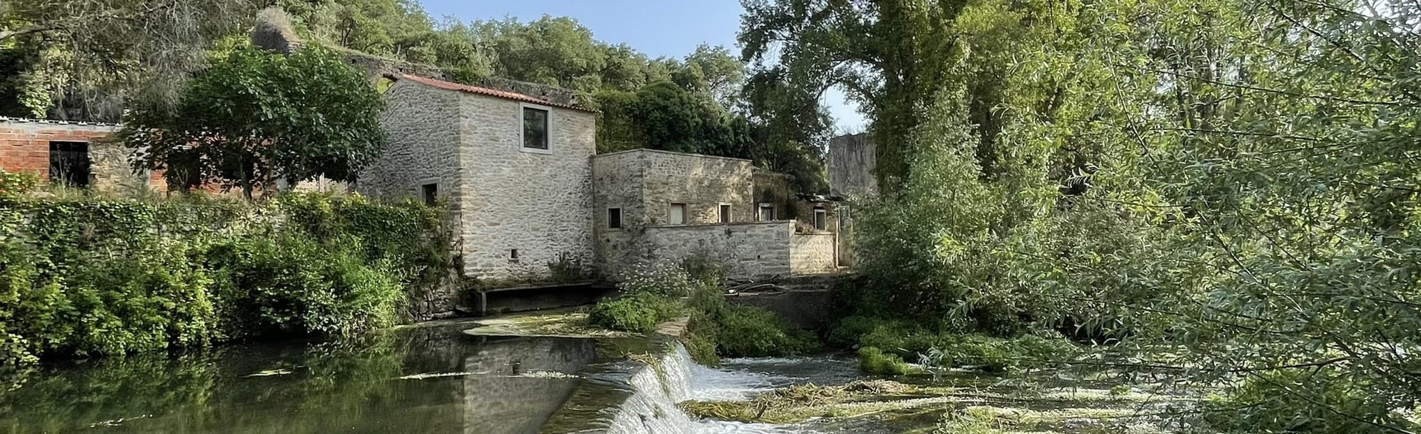 PR1 TMR - Nas margens do rio Nabão: 59 foto's - Região de Lisboa, Portugal | AllTrails