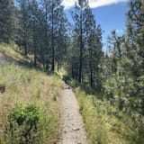 High Drive Parkway Trail, Washington - 688 Reviews, Map | AllTrails