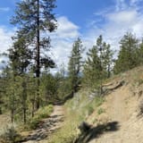 High Drive Parkway Trail, Washington - 688 Reviews, Map | AllTrails