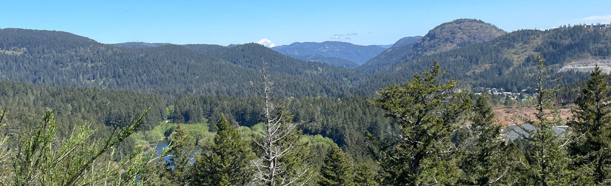 Mount Wells Loop via Ravensview: 198 Reviews, Map - British Columbia ...