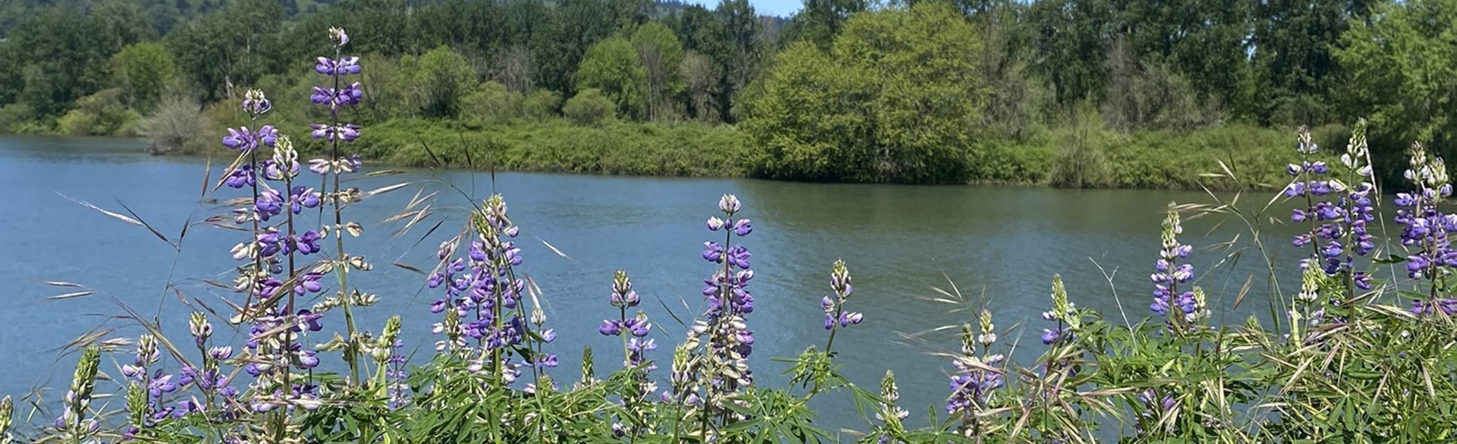 Springwater Corridor Trail: 179 Reviews, Map - Oregon | AllTrails